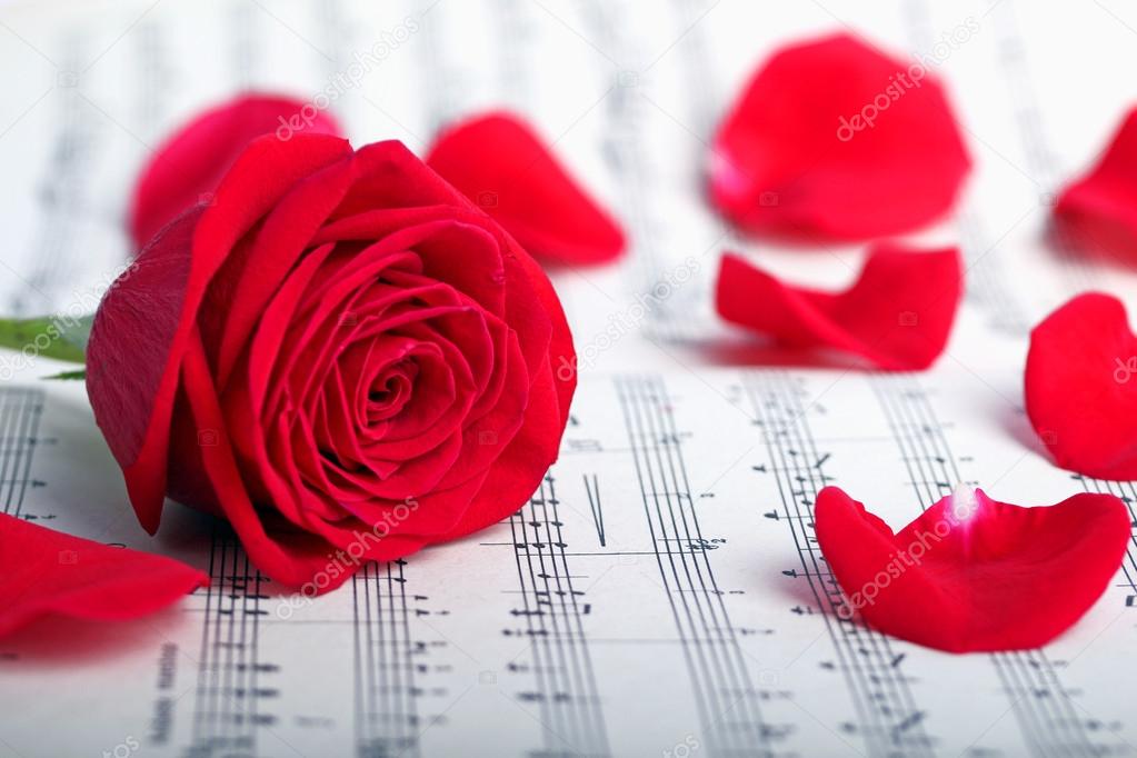 Notes with rose Stock Photo by ©lena15071969 62351671