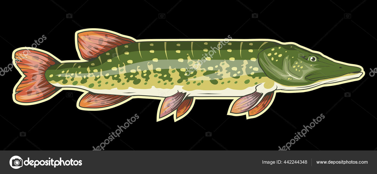 Northern Pike Sketch