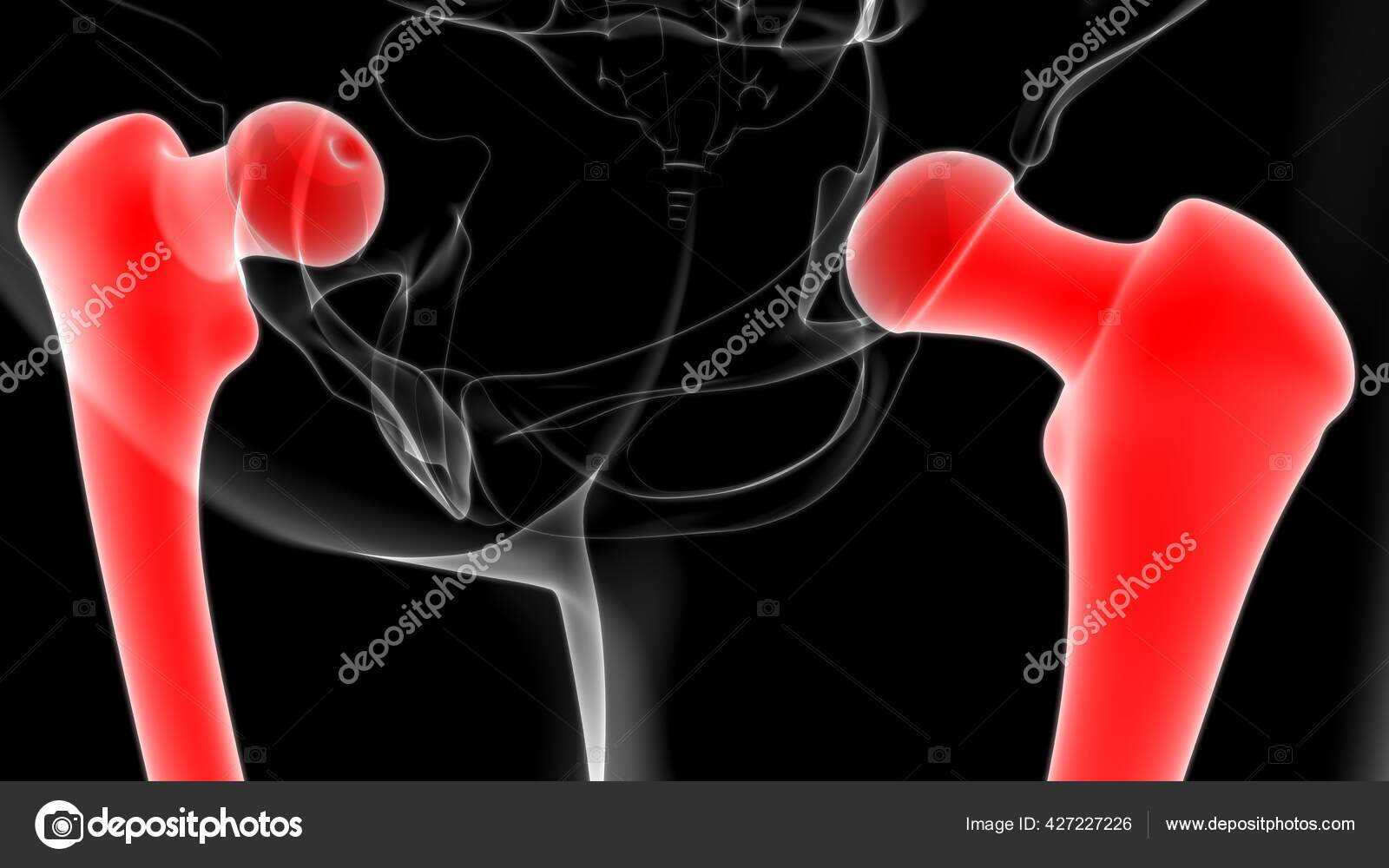 Human Skeleton Anatomy Femur Bone Rendering Medical Concept Stock Photo ...