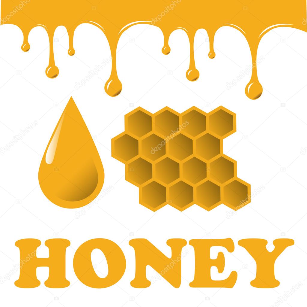 Honey vector — Stock Vector © farmer79 #65469197