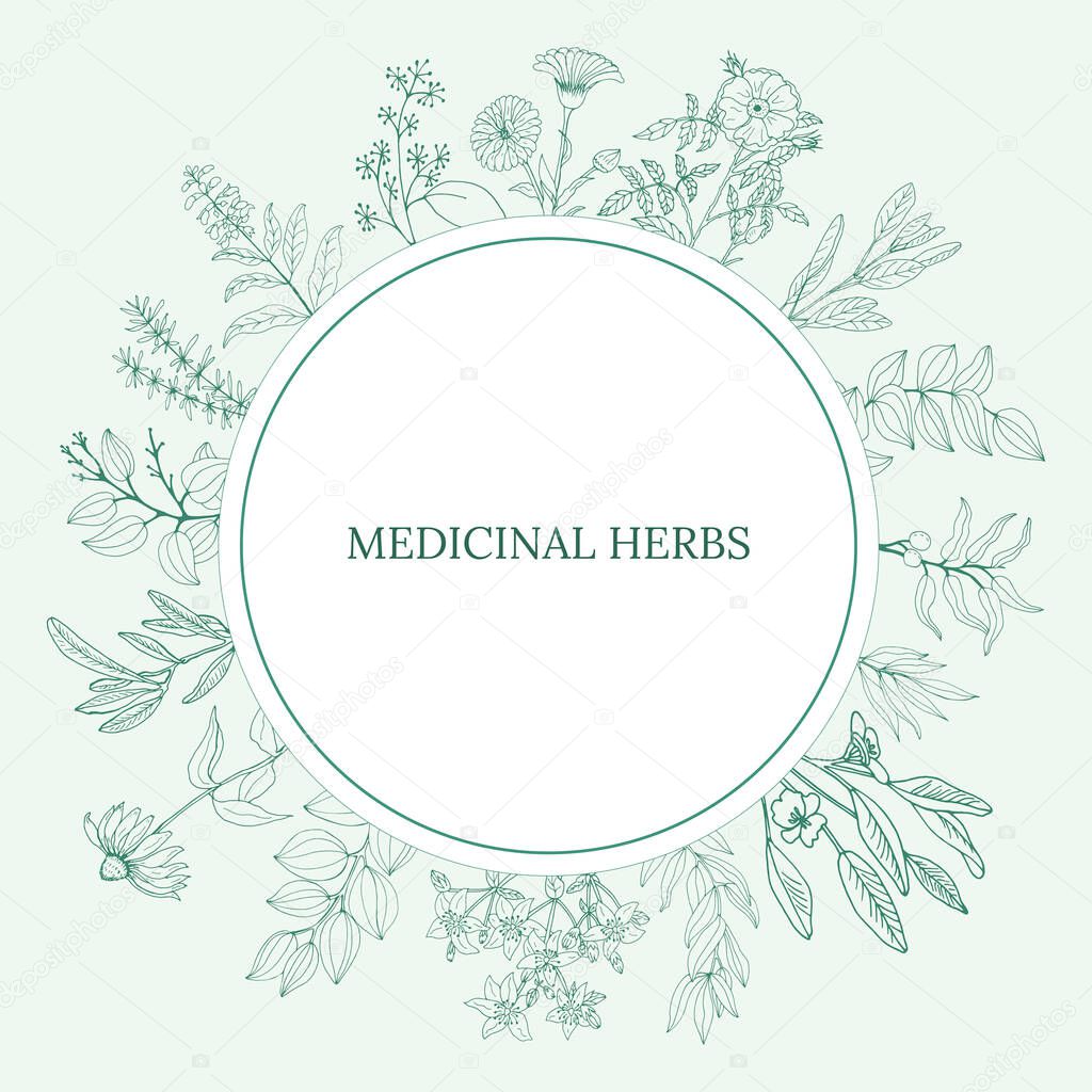 Un conjunto de hierbas medicinales y plantas. Colección de flores y ...