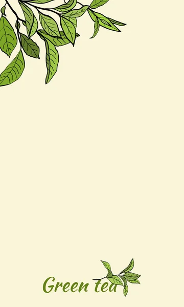 Tea leaf design Vector Art Stock Images | Depositphotos