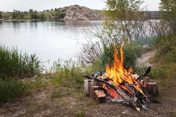 Bonfire in the spring forest. coals of fire - Stock Image - Everypixel