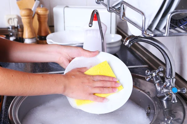 Female hand washing dish - Stock Image - Everypixel