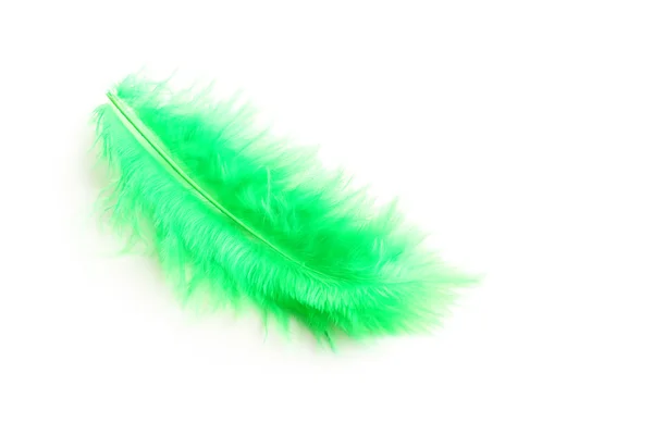 Pluma verde fotos de stock, imágenes de Pluma verde sin royalties ...