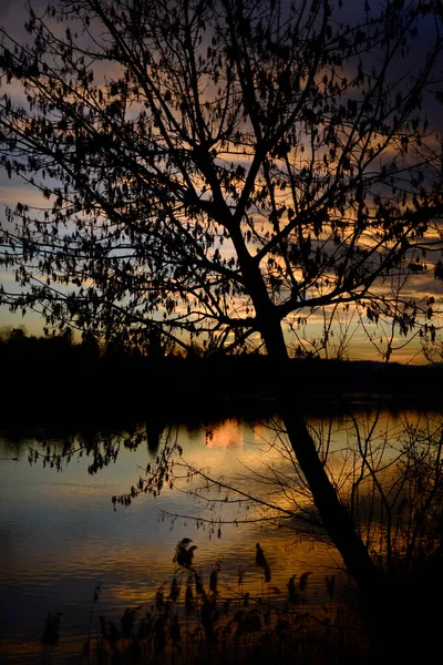 Sunset Pond Wallpaper 8,300+ Fishing Pond Sunset Stock Photos,