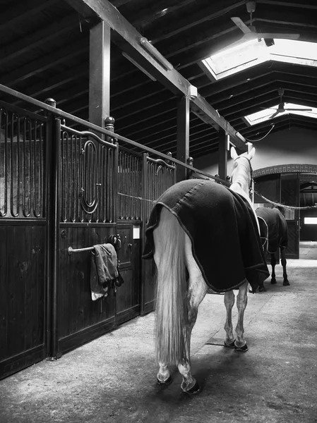 Stable inside Stock Photos, Royalty Free Stable inside Images ...