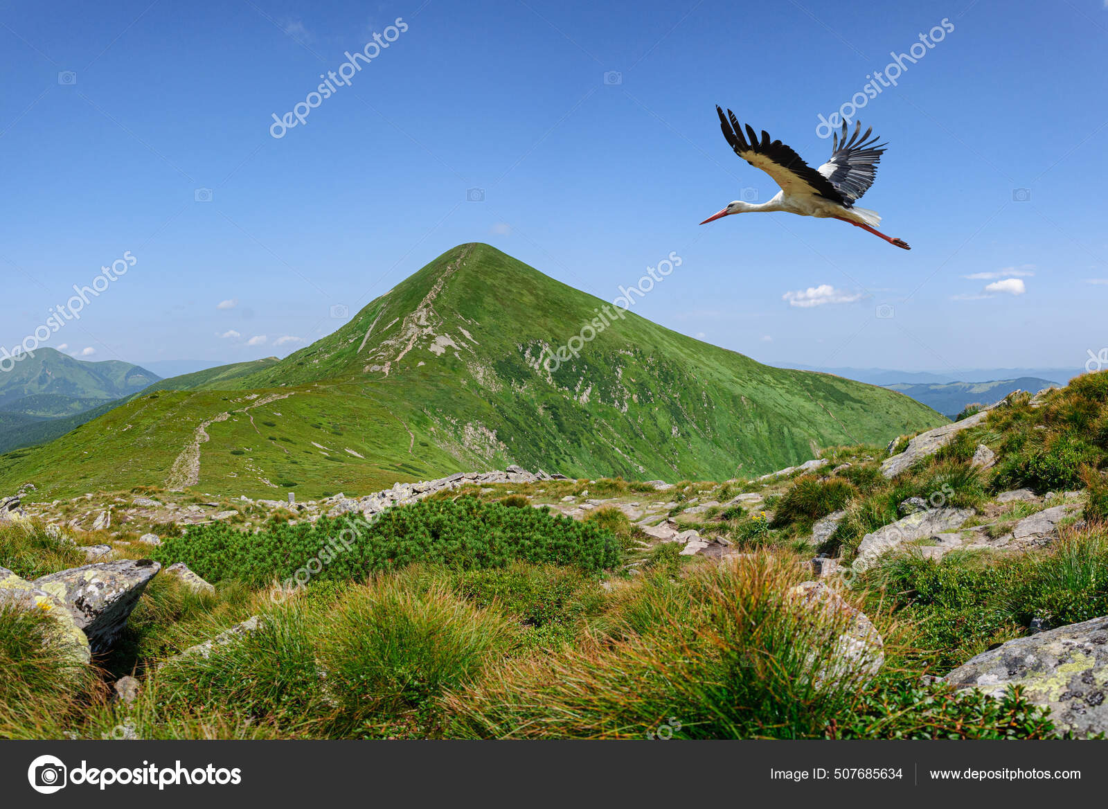 Hoverla Mountain