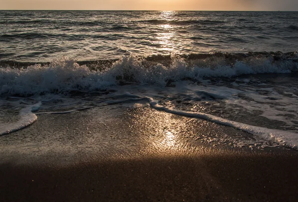 Wavelet Stock Photos, Royalty Free Wavelet Images | Depositphotos