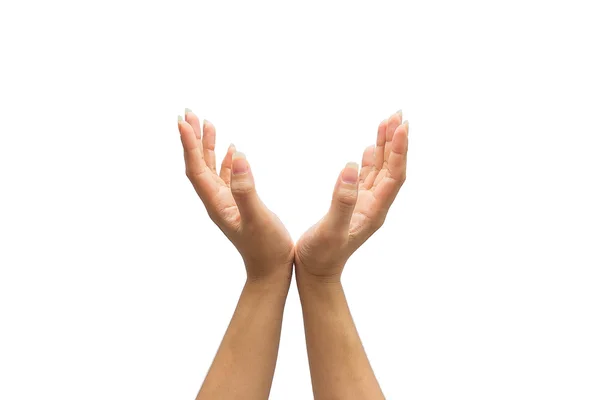 Two hands isolated on white background Stock Photo by ©jannystockphoto ...