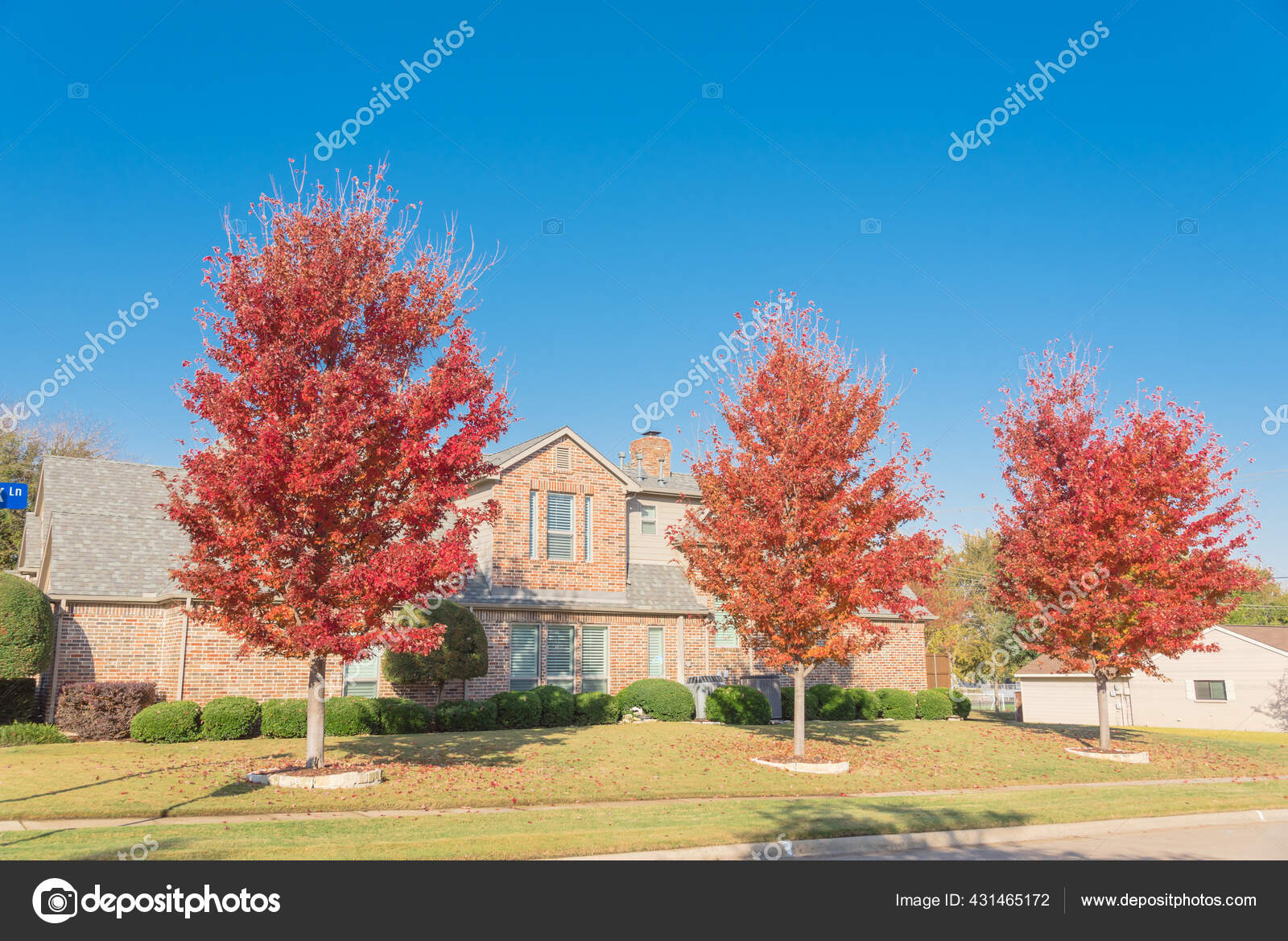 Row Red Maple Trees Two Story Houses Suburbs Dallas Texas Stock Photo ...