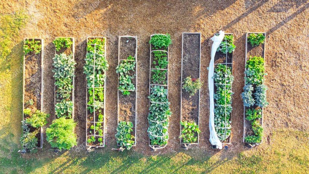 Fila de camas de plantación elevadas con estructura de marco frío de ...