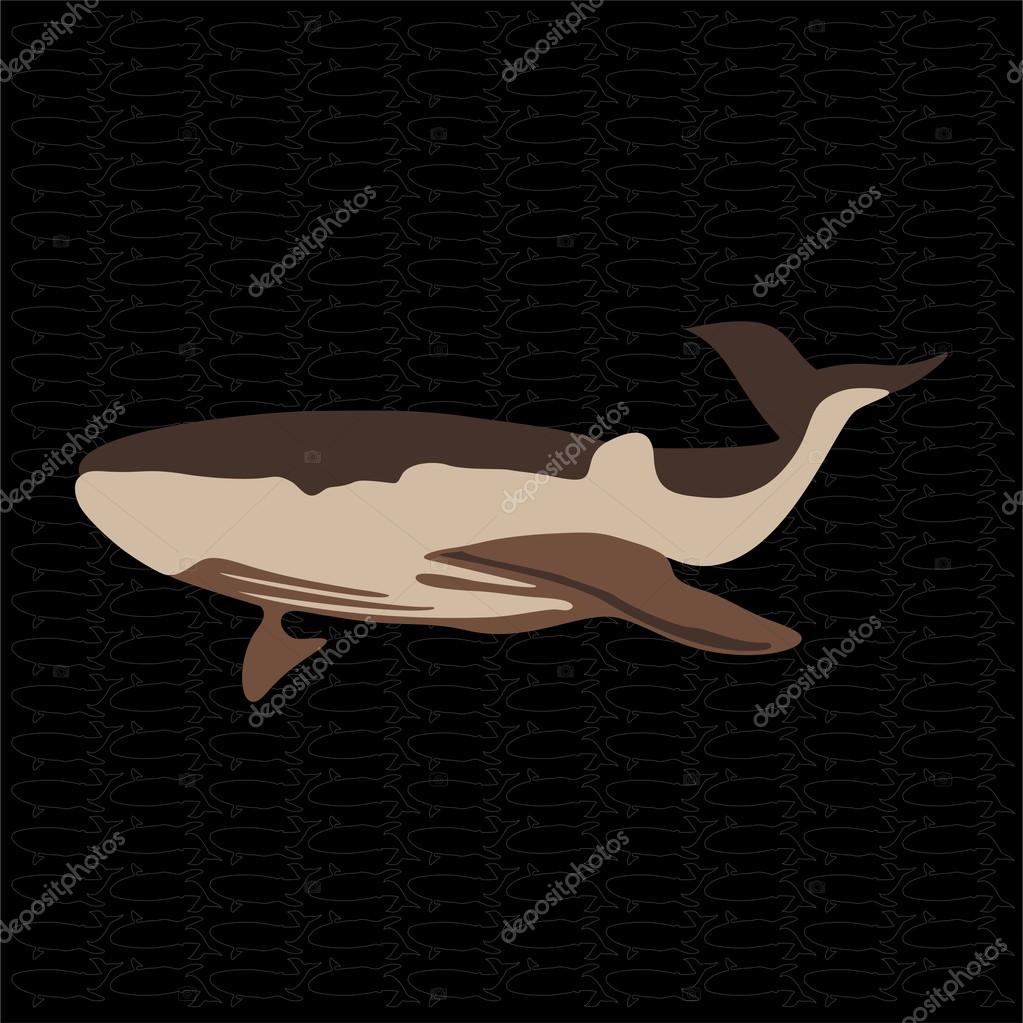 Vector ballena Vector de stock #83003820 de ©aspekt-13