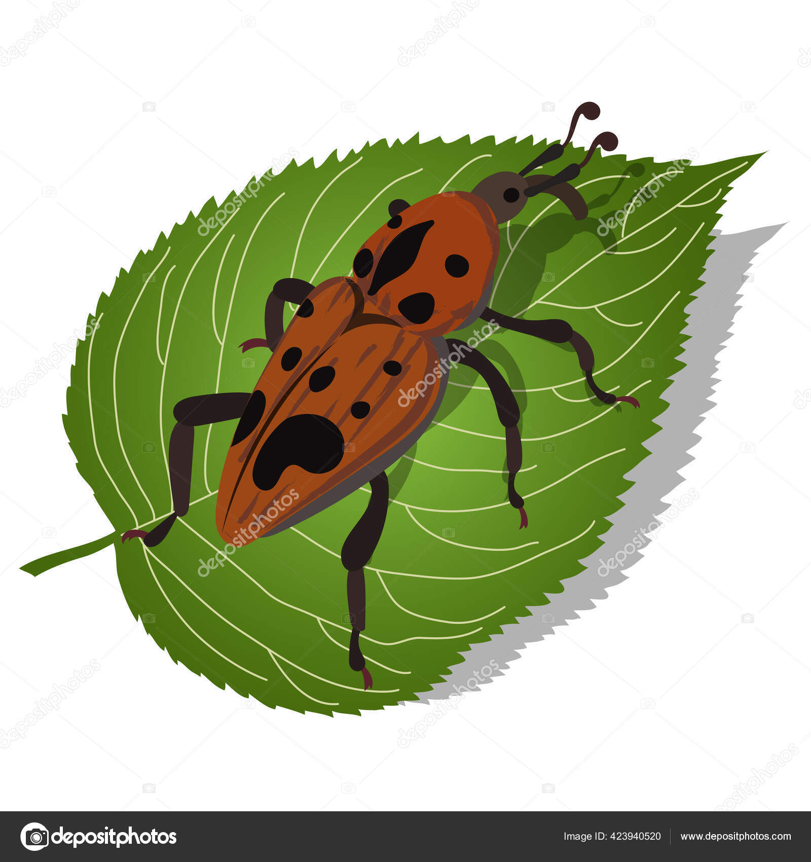Realistic Insect Vector Illustration Orange Weevil Bug Leaf Isolated ...