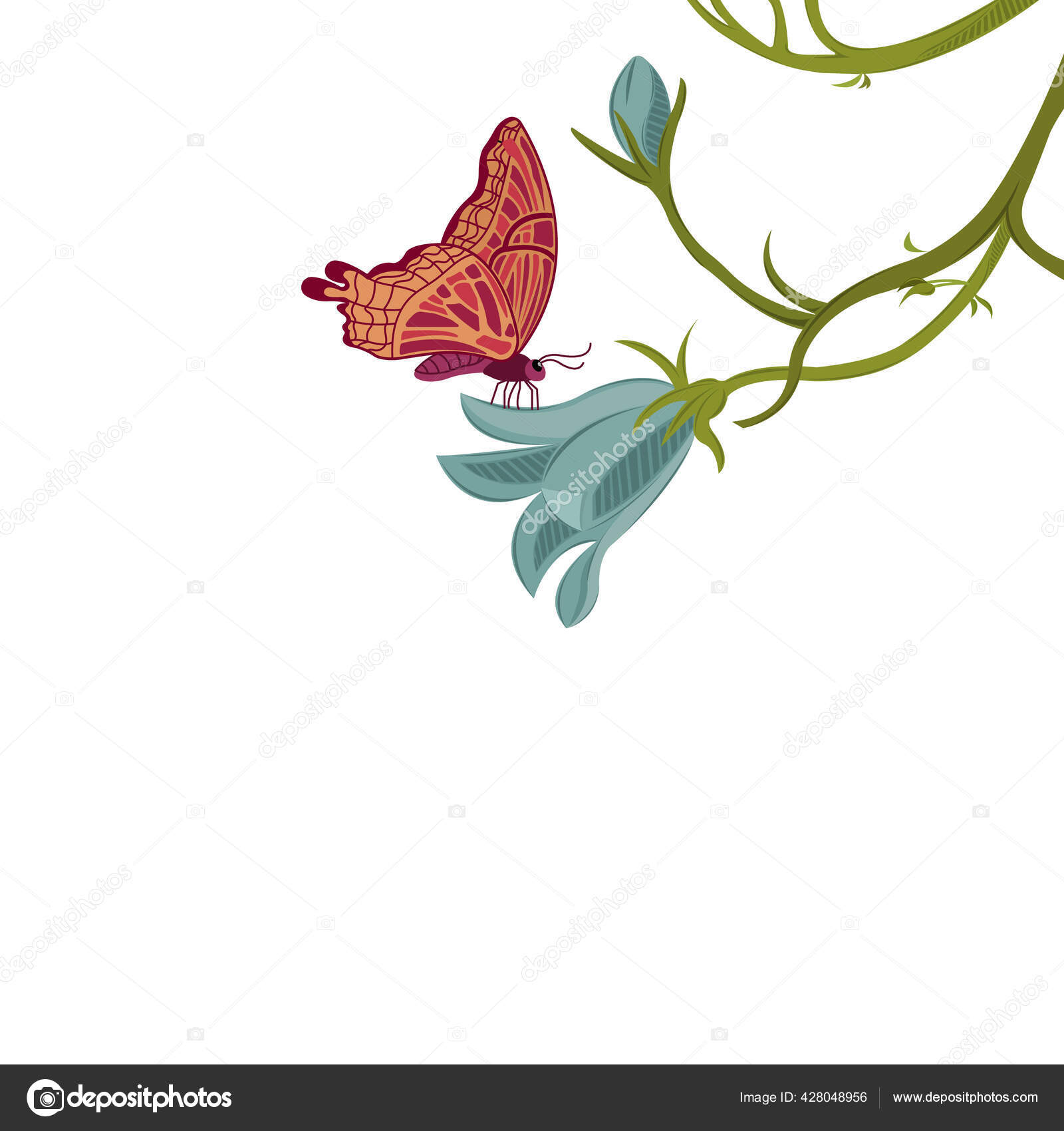 Butterfly Flower Vector Illustration White Background Colorful ...