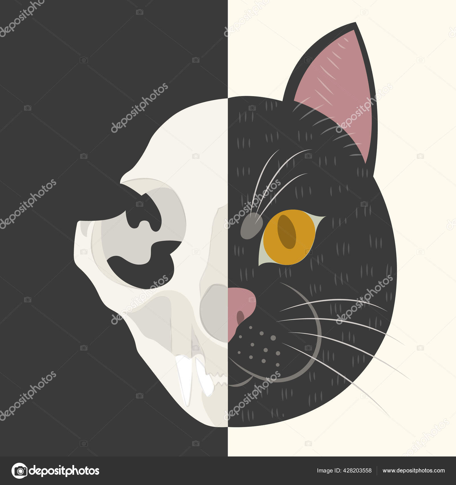 Schrodinger Cat Equation