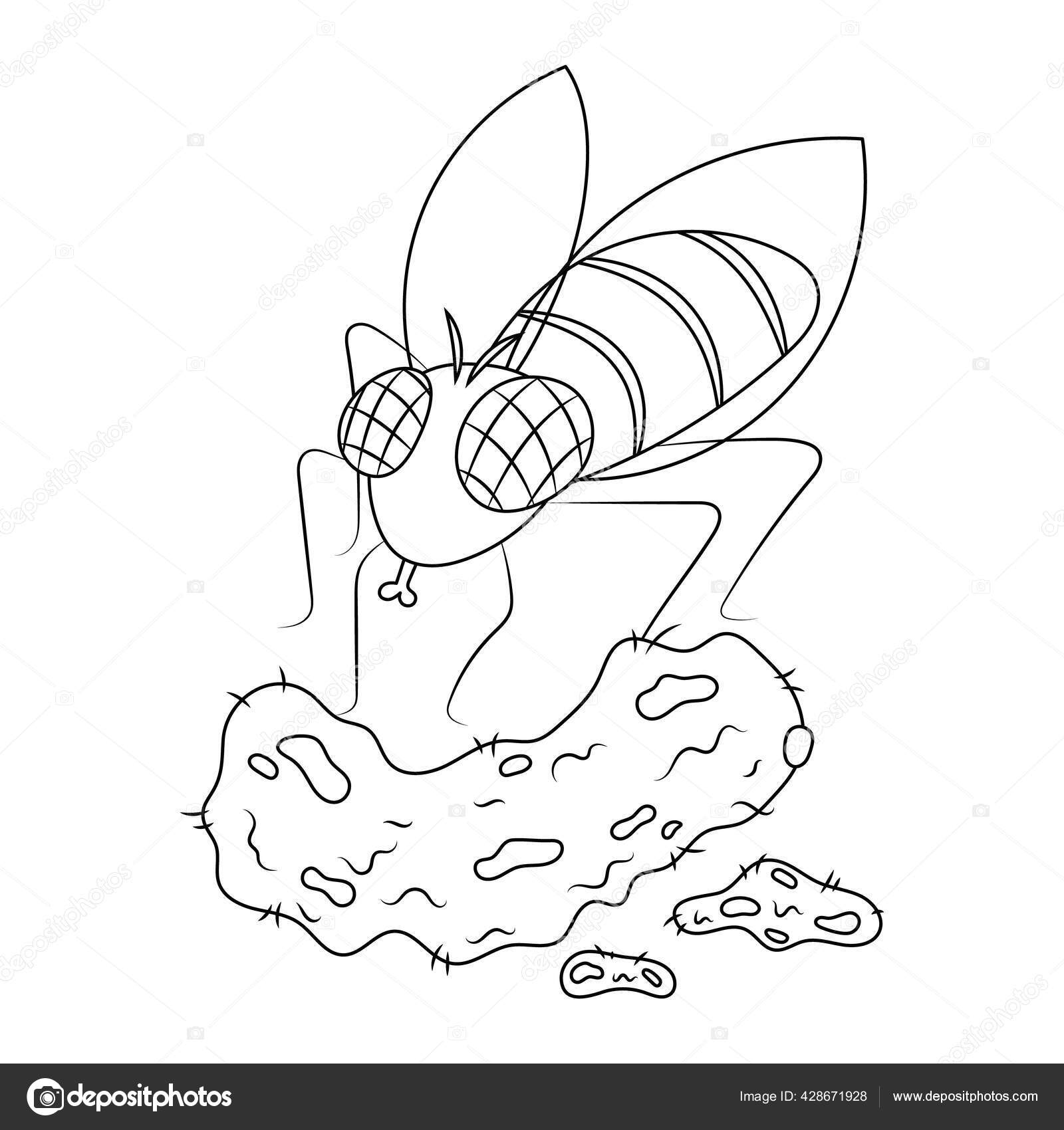Cute Funny Fly Insect Vector Illustration Cartoon Fly Cartoon Colorless ...