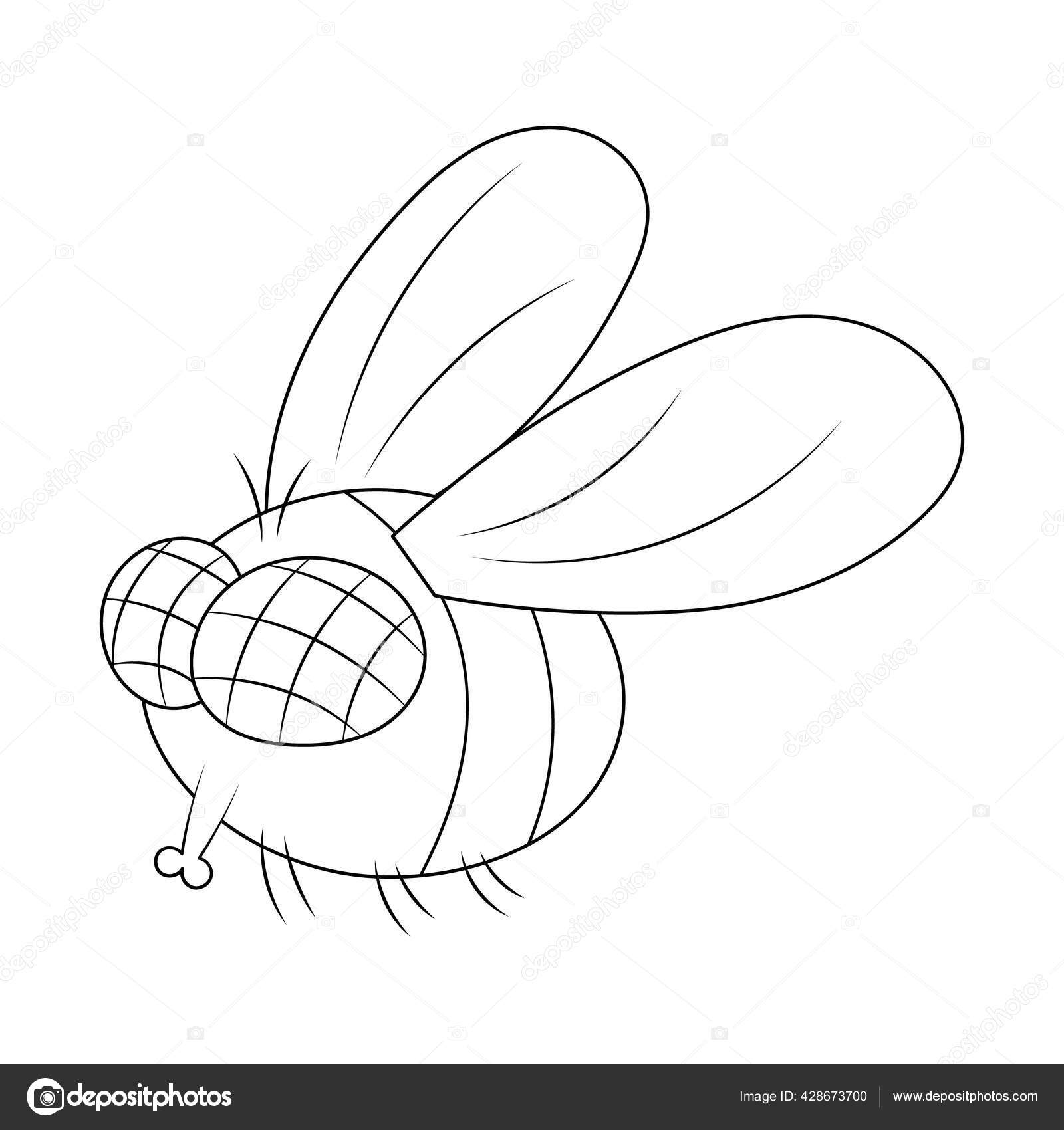 Cute Funny Fly Insect Vector Illustration Cartoon Fly Cartoon Colorless ...