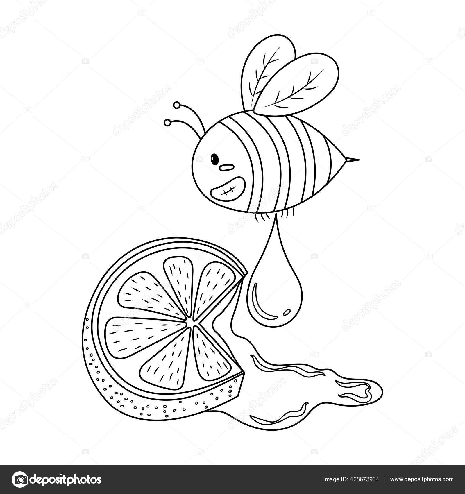 Honey Bee Lemon Vector Illustration Mixture Honey Lemonade Stock Vector ...