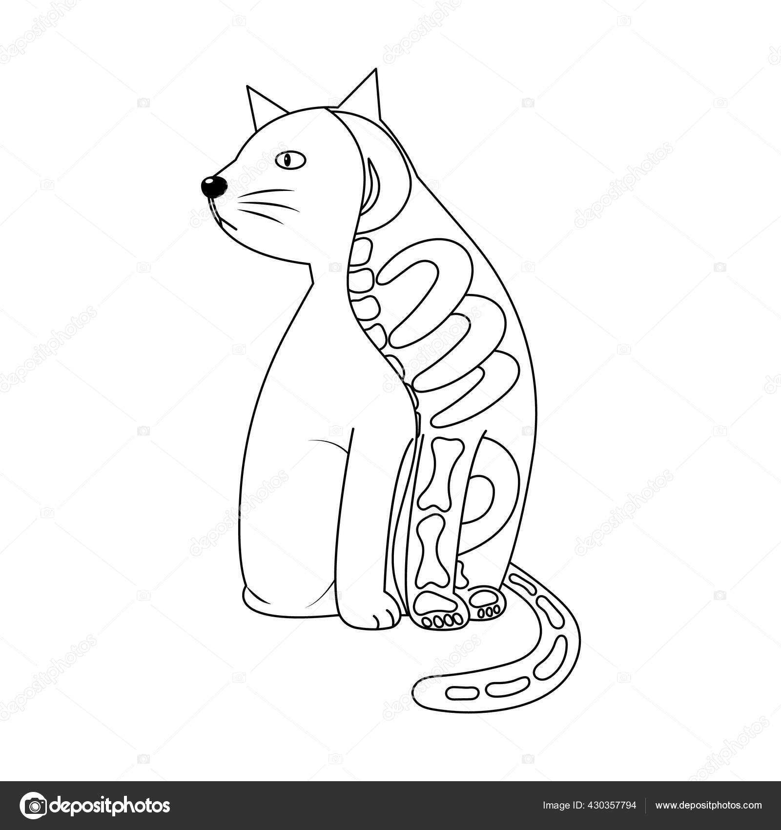 Schrodinger Quantum Superposition Cat Colorless Vector Illustration ...