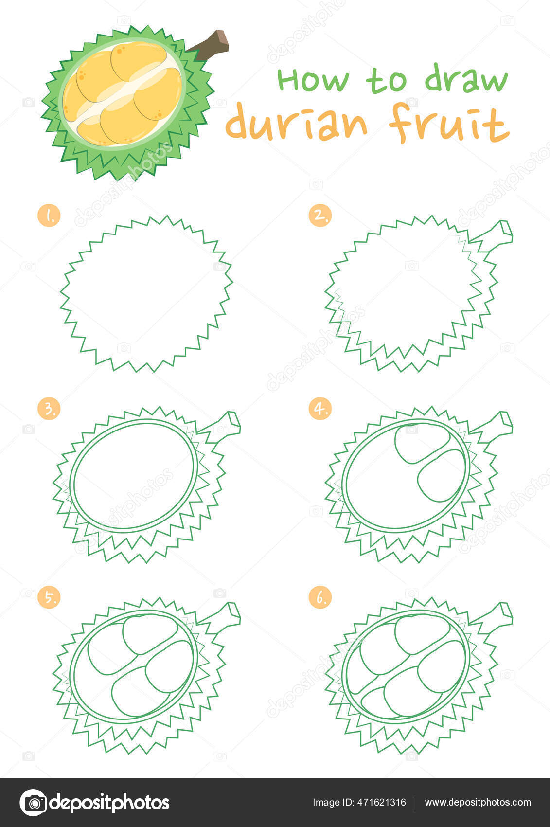 Durian Fruit Drawing