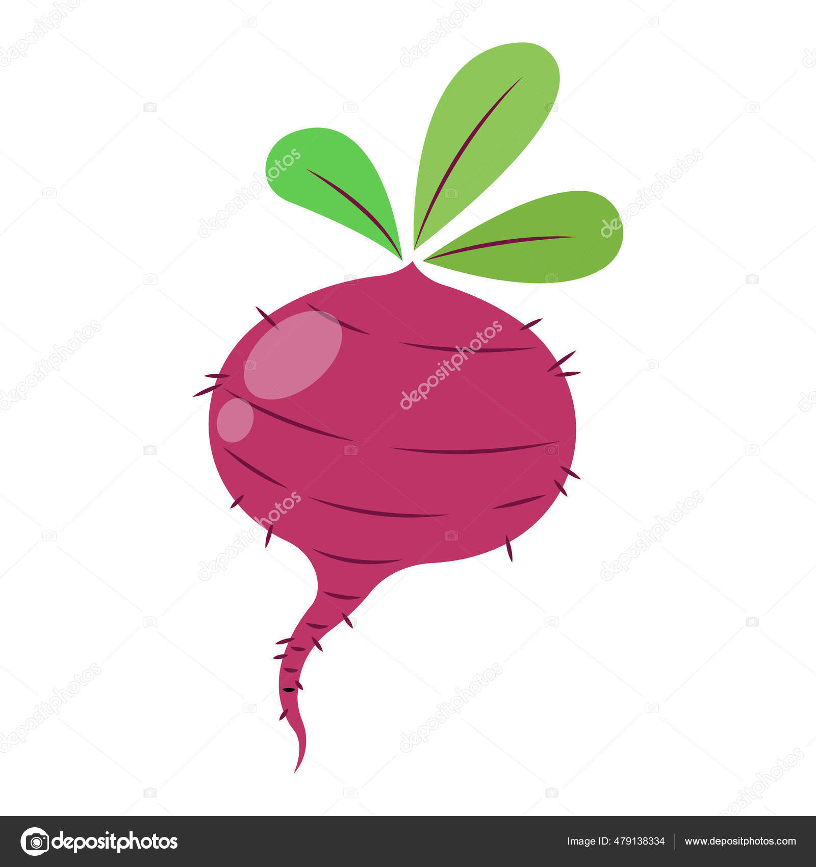 Caricatura Ilustración Vector Remolacha Aislada Sobre Fondo Blanco ...