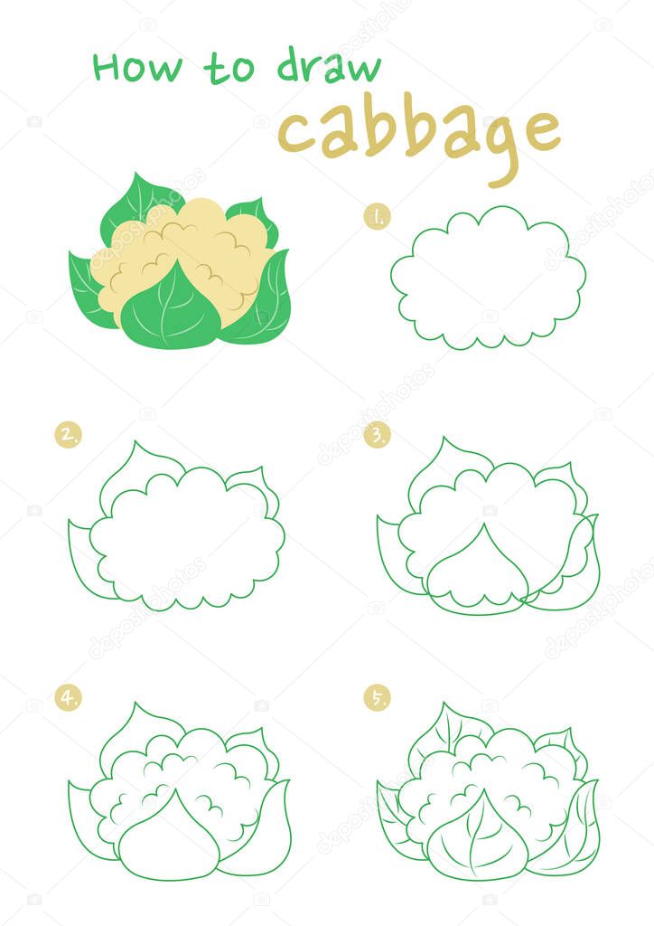 Cómo Dibujar Ilustración Vectores Col Dibuja Col Paso Paso Guía Vector ...