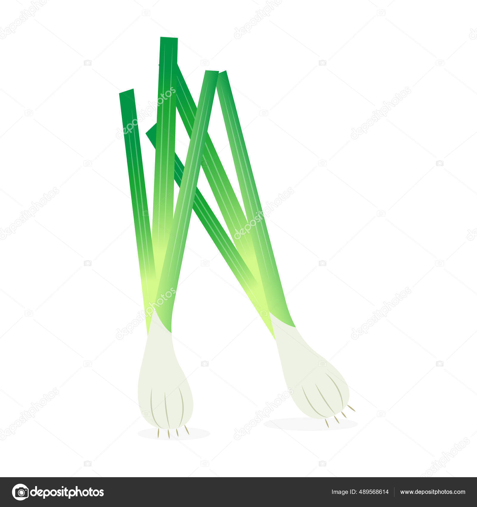 Spring Onion Vector Cartoon Isolated White Background Cute Vegetable ...