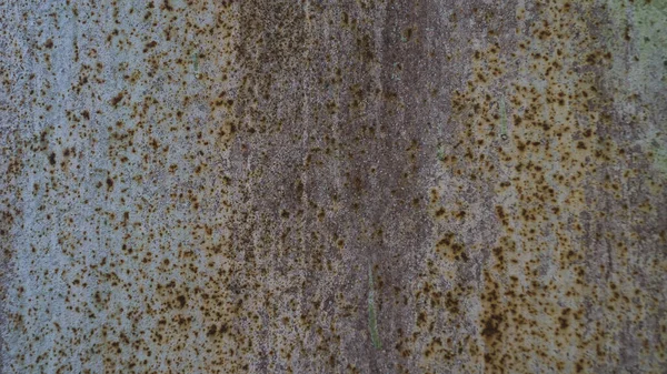 Mottled texture Stock Photos, Royalty Free Mottled texture Images ...