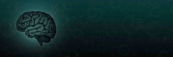 Brain science background Stock Photos, Royalty Free Brain science ...