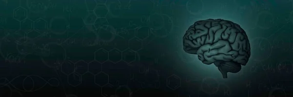 Brain science background Stock Photos, Royalty Free Brain science ...
