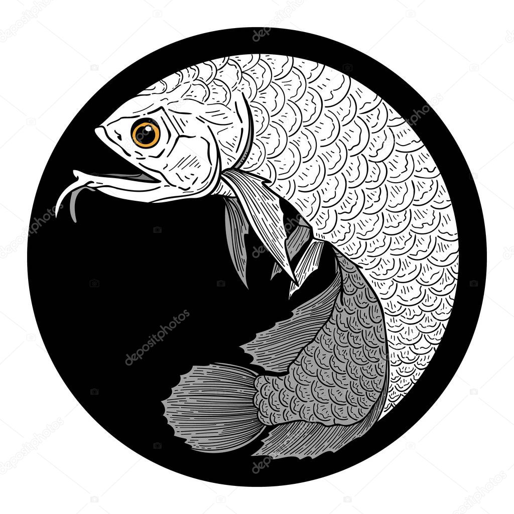 ilustraci n vectorial dibujada a mano de peces Arowana aislados sobre fondo blanco. 2024