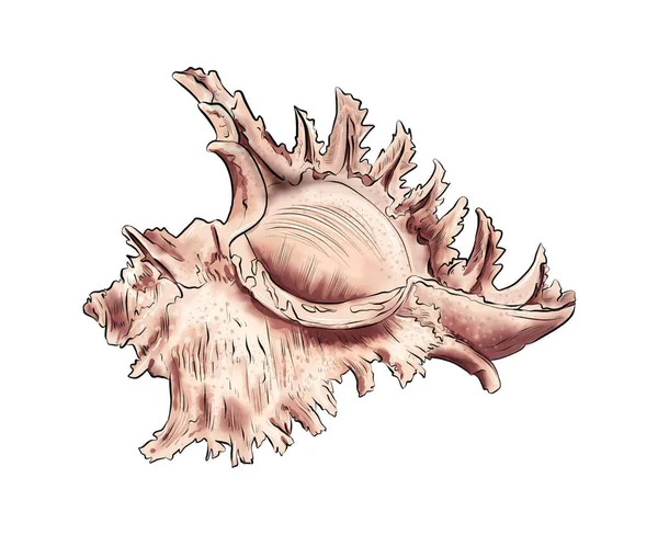 Lúnula fotos de stock, imágenes de Lúnula sin royalties | Depositphotos