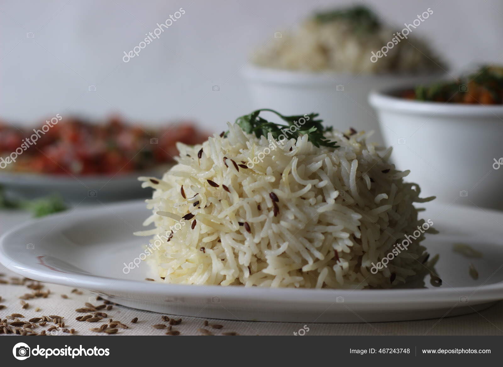 Indian Dish Made Basmati Rice Flavoured Cumin Seeds Spices Locally ...