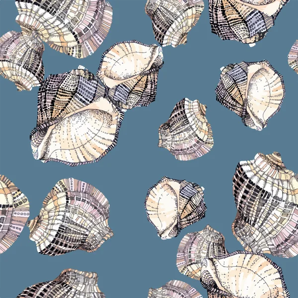 Shell patterns background Stock Vector Image by ©TatianaDavidova #63657819