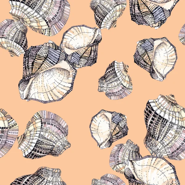 Shell patterns background Stock Vector Image by ©TatianaDavidova #63657819