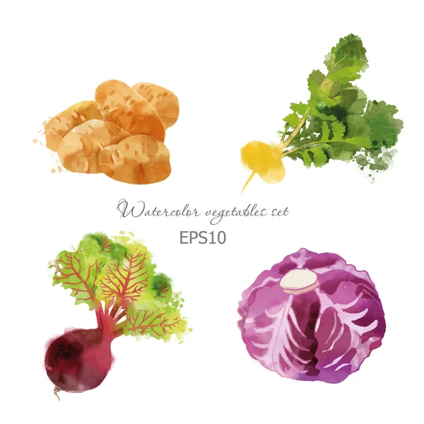 2,721 Watercolor vegetables Vector Images - Free & Royalty-free ...
