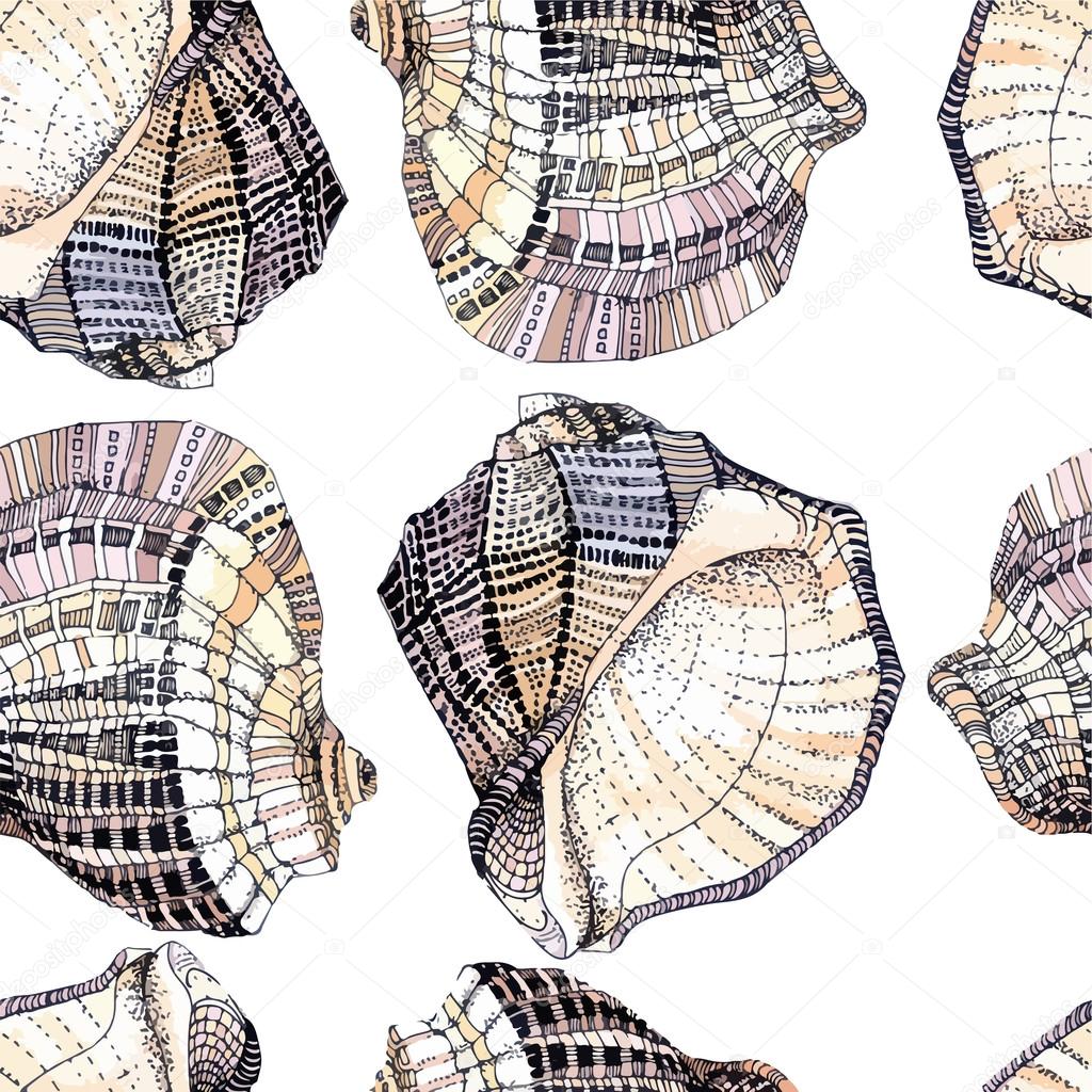 Shell patterns background Stock Vector Image by ©TatianaDavidova #63657819