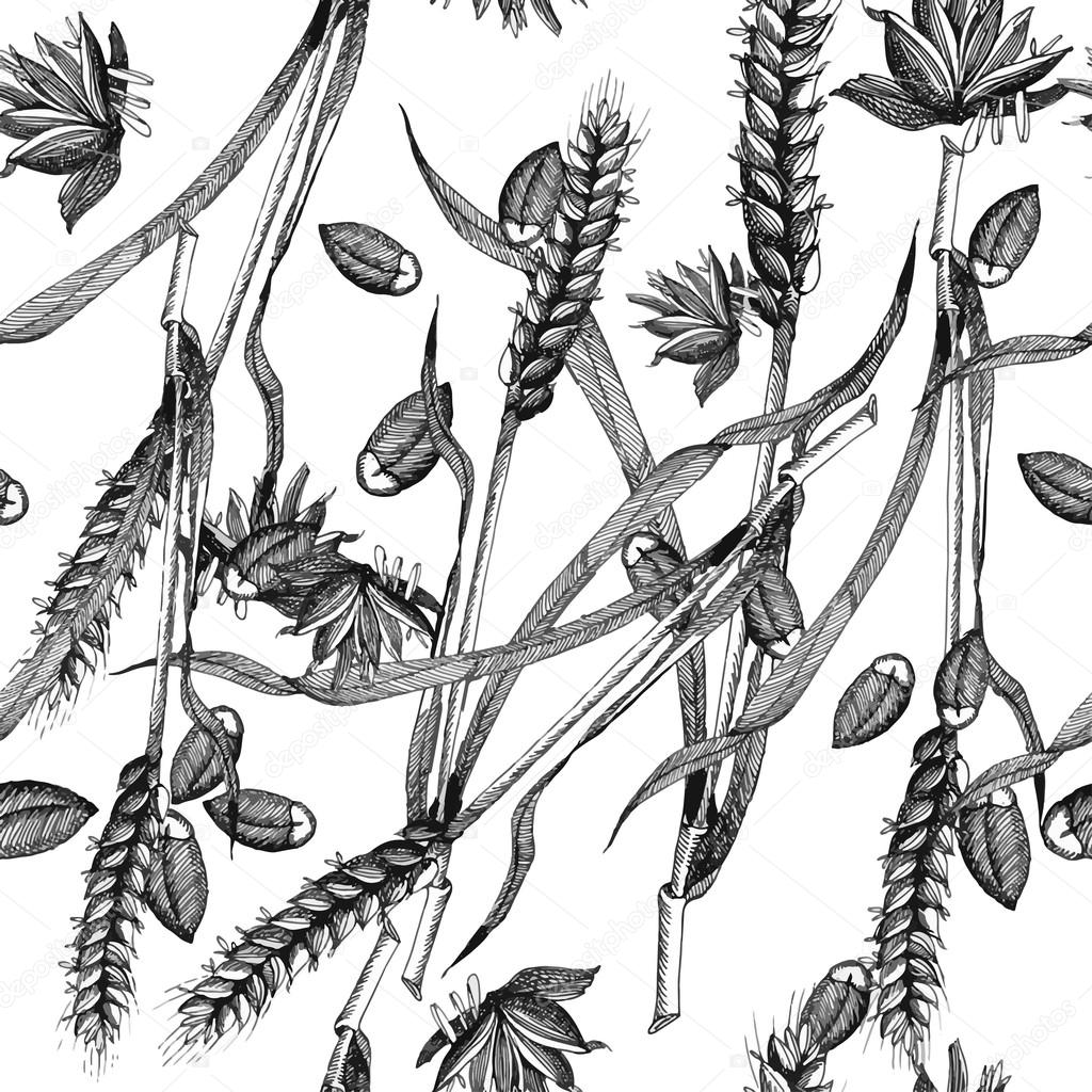 Vintage patterns with wheat Stock Vector Image by ©TatianaDavidova ...