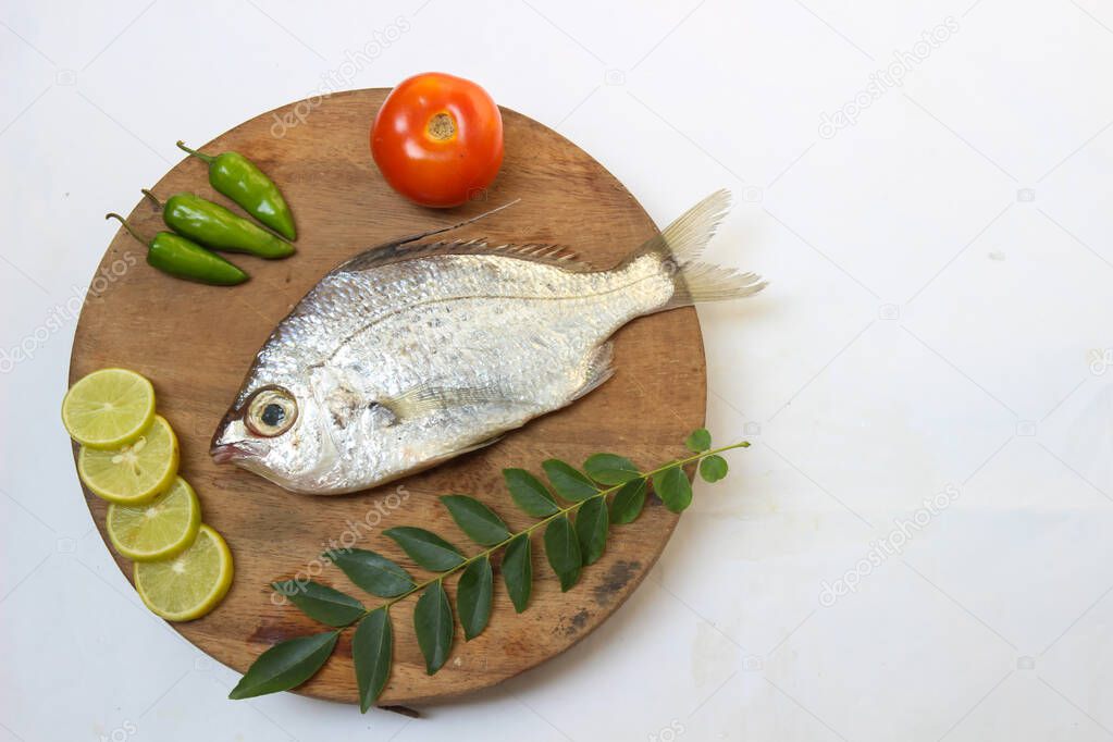 Gerres Fish (Gerres Filamentosus) / Whipfin silver biddy Fish, Decorado ...