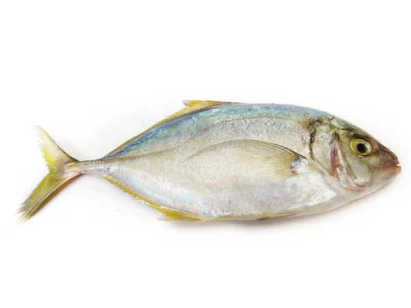 Thol paarai Stock Photos, Royalty Free Thol paarai Images | Depositphotos