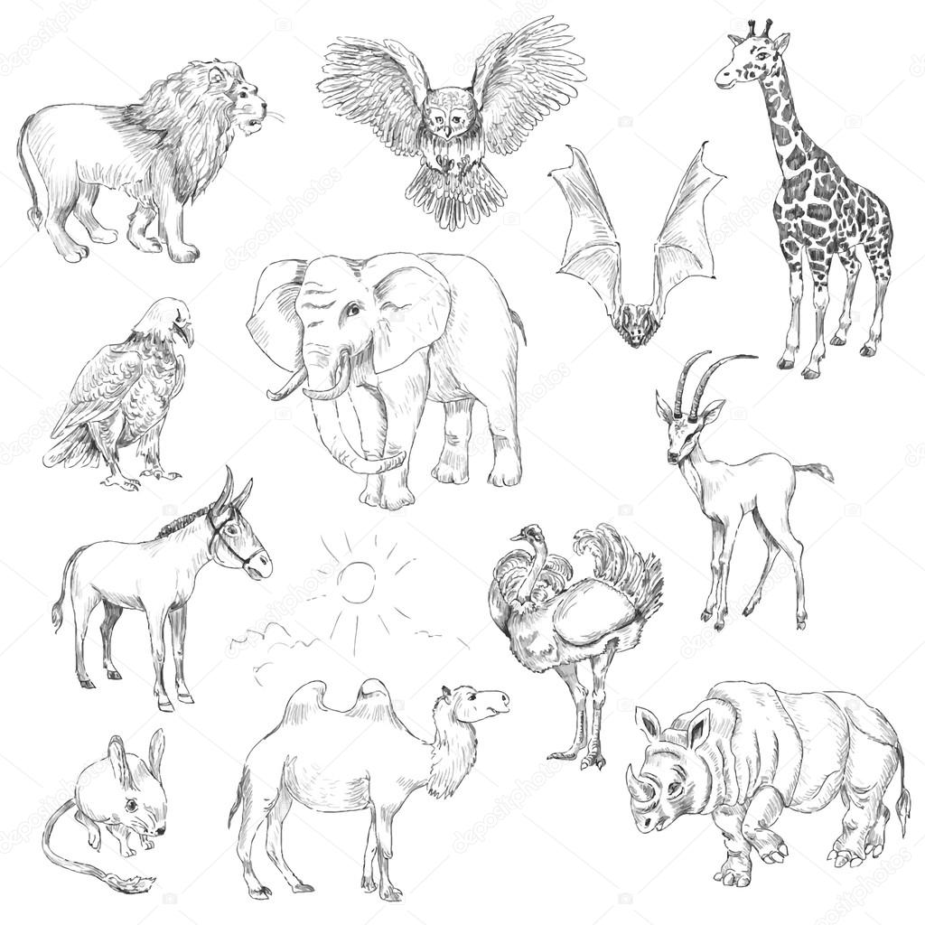 Desert animals set Stock Vector Image by ©vitasunny #64507593