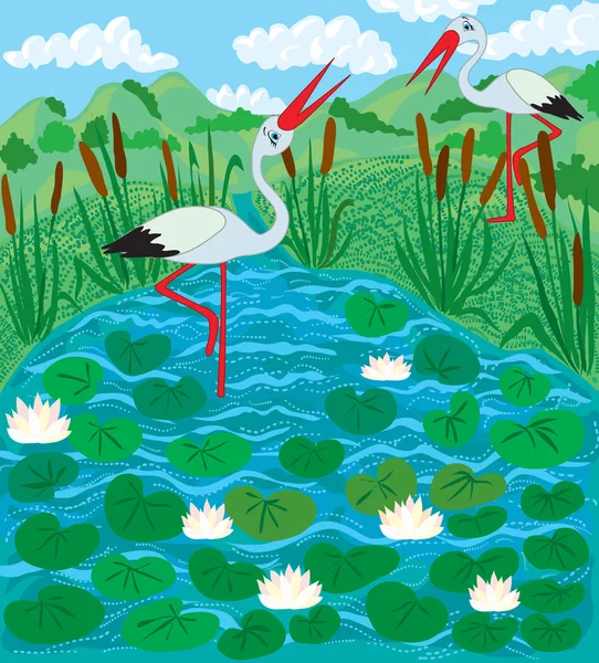 ᐈ Wetland cartoon stock vectors, Royalty Free wetlands illustrations ...