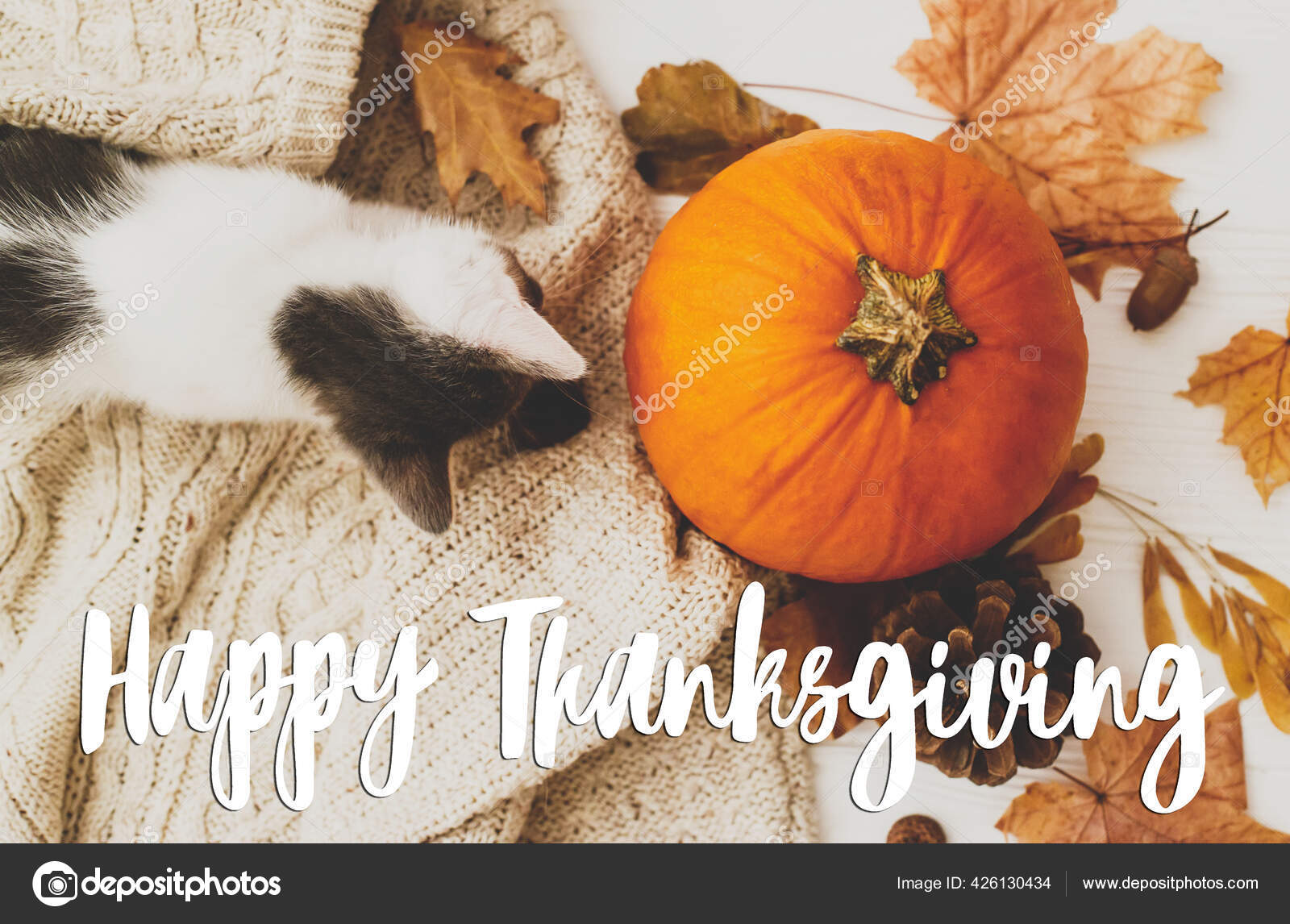 Cute Happy Thanksgiving Sign