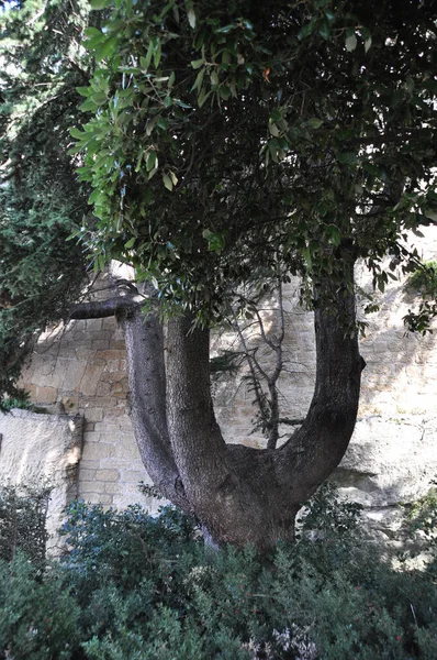 O mosteiro de arbore Stock Photos, Royalty Free O mosteiro de arbore ...