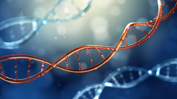 Human genome Stock Photos, Royalty Free Human genome Images | Depositphotos