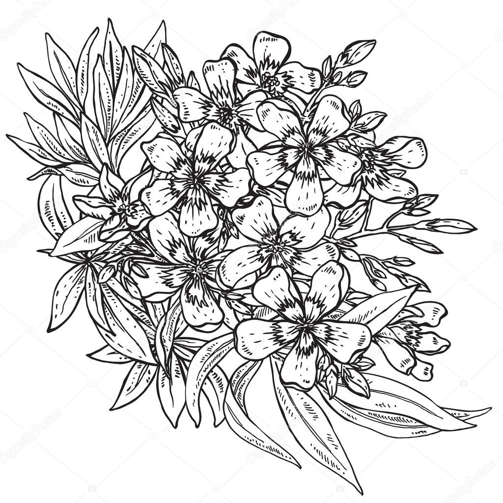 Vector hand drawn flower Rhododendron bouquet Stock Vector Image by ...