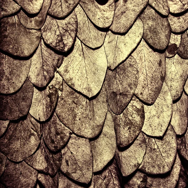 Snake form Stock Photos, Royalty Free Snake form Images | Depositphotos