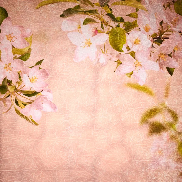 Subtle artistic floral background with hortensia flowers — Stock Photo ...