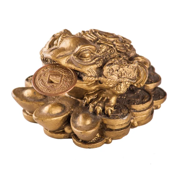 Frog with coin Stock Photo by ©surabhi25 6648204